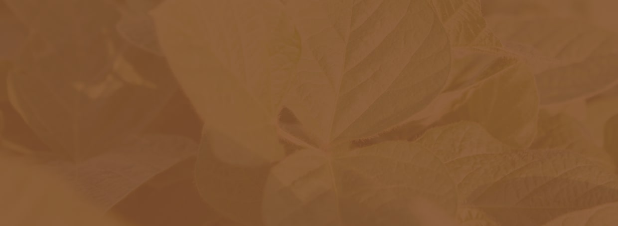 Santa Monica Restaurant | Shoreside Restaurant and Bar