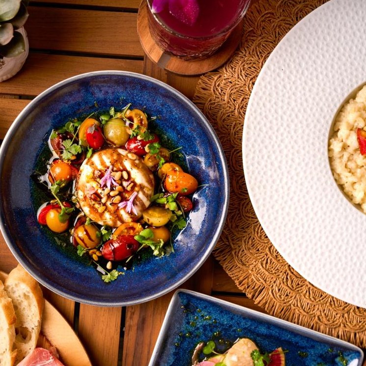 Santa Monica Restaurant Photos | Shoreside Restaurant and Bar